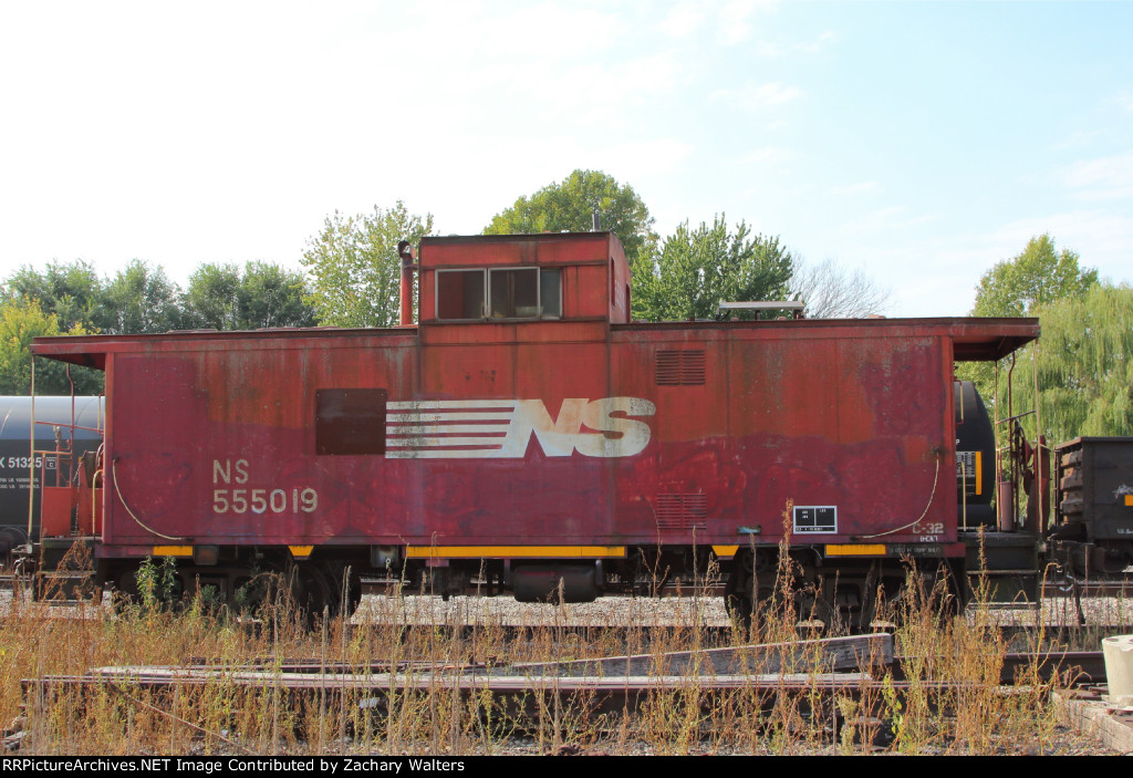 NS 555019